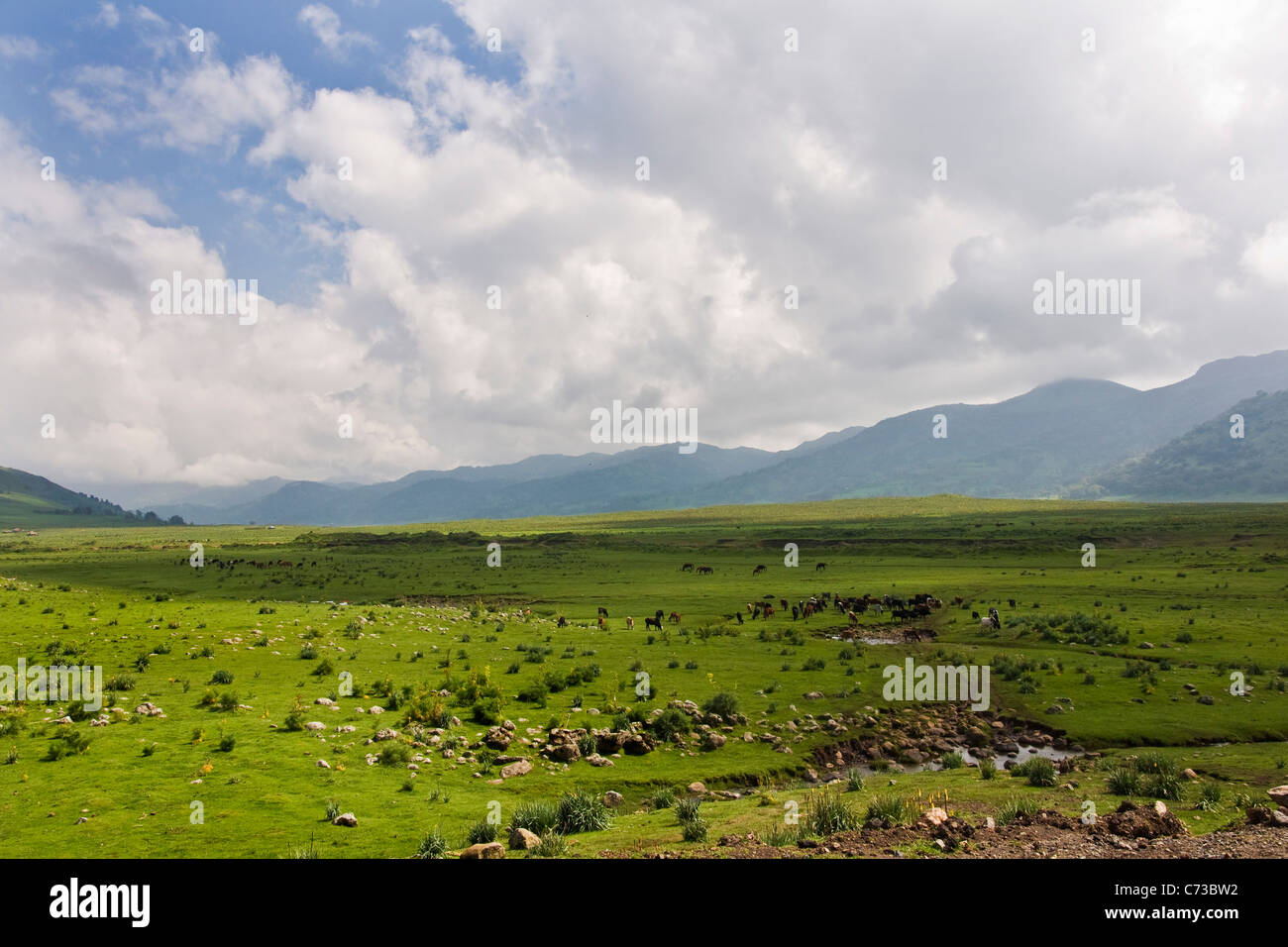 Abyssinian plateau hi-res stock photography and images - Alamy