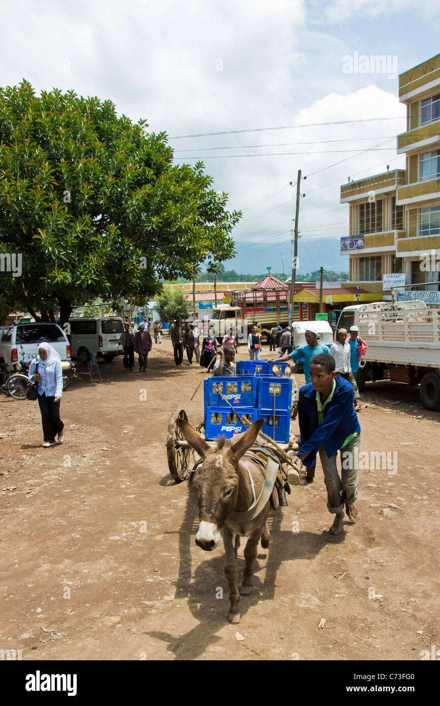 Daily life, Hosaina, Ethiopia Stock Photo - Alamy