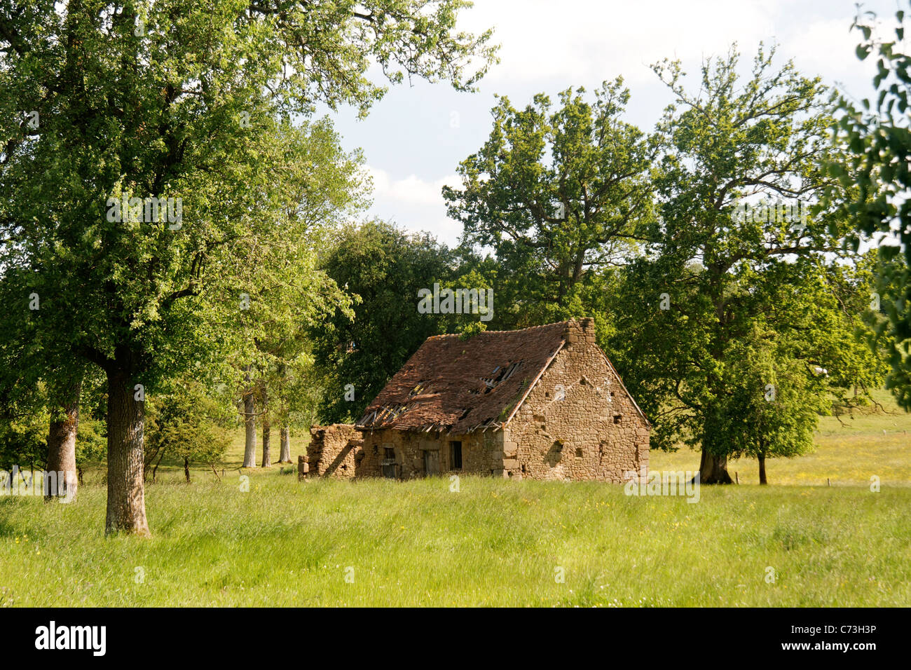 Old farm building in the grove (Domfrontais, Orne, Normandy, France ...