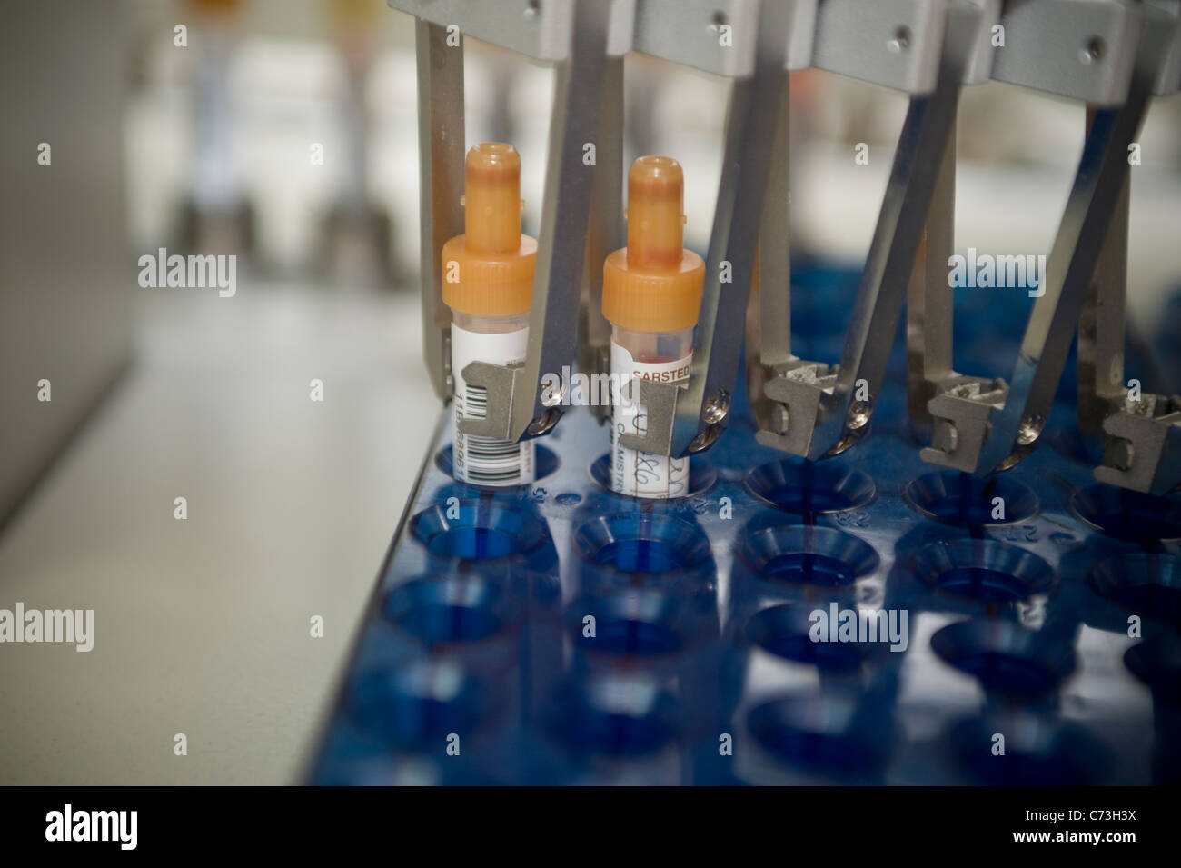 Blood samples in machine being tested Stock Photo - Alamy