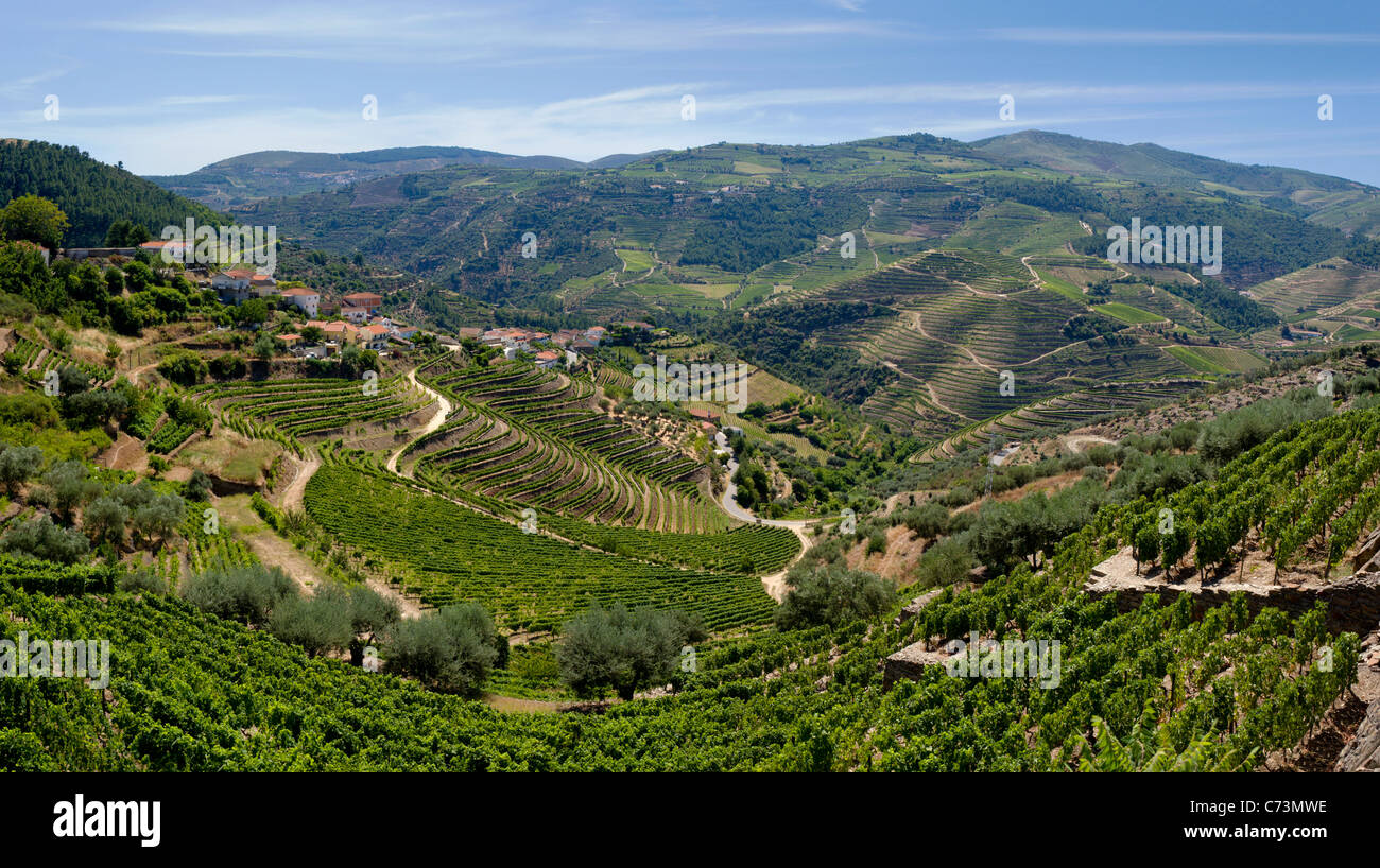 Vineyards in douro hi-res stock photography and images - Alamy