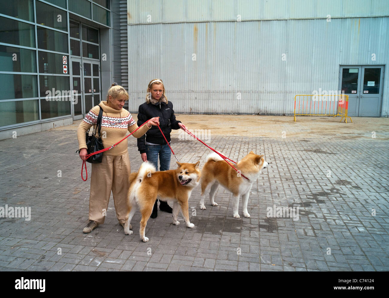 Dog owners and their pedigree dogs at the International Dog Show ...