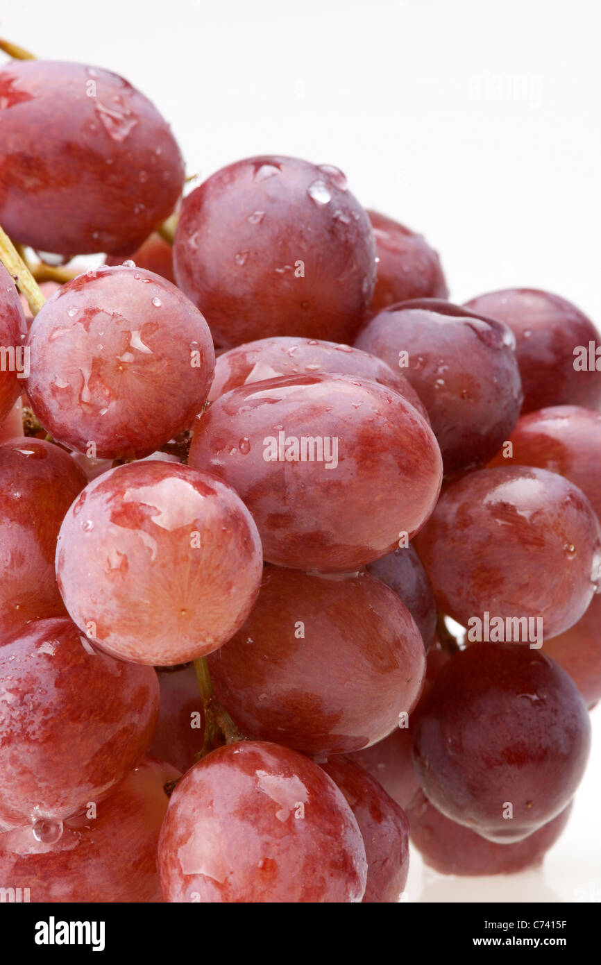 Red cluster hi-res stock photography and images - Alamy