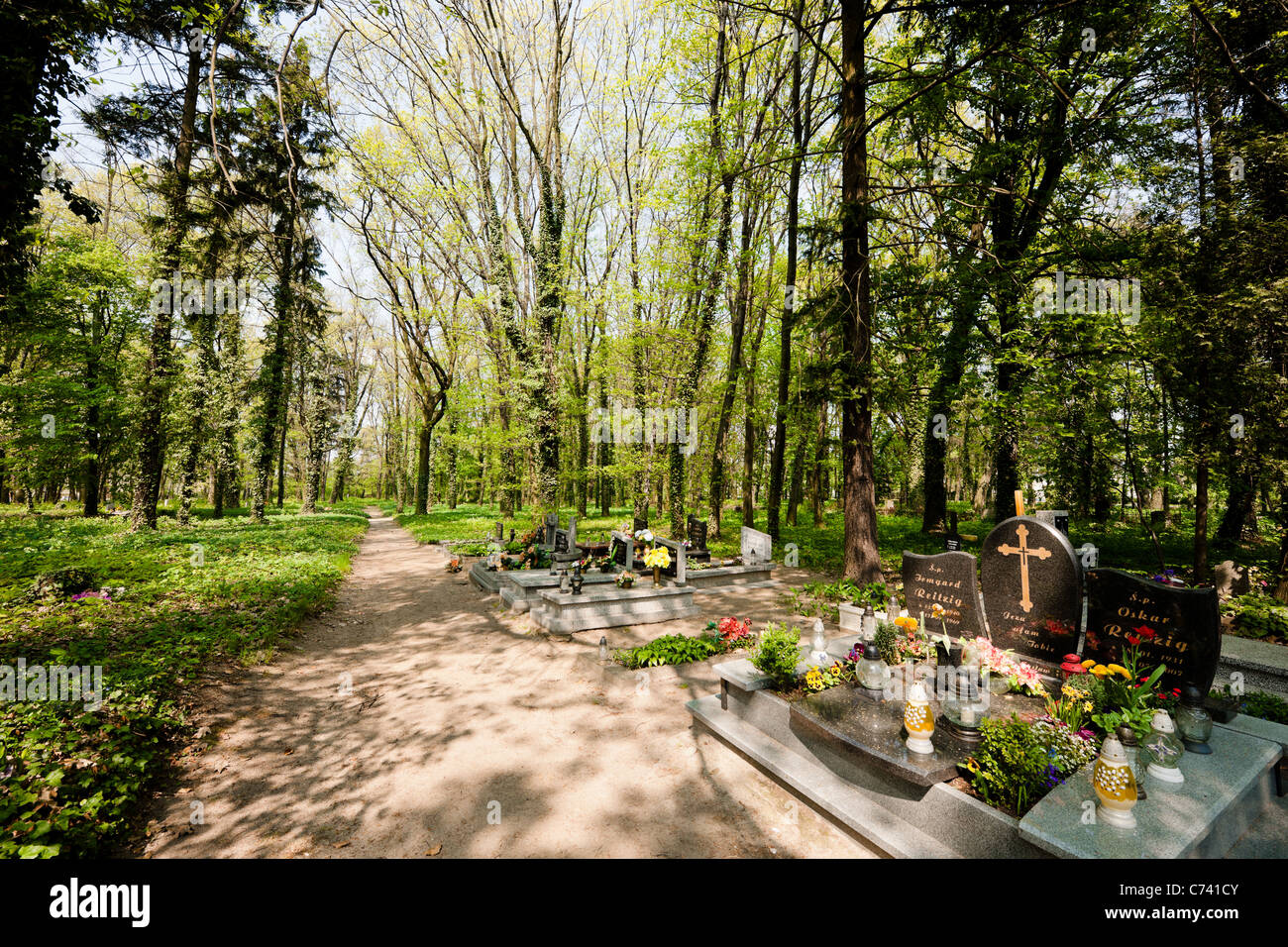 Old cemetery in Poland Stock Photo - Alamy