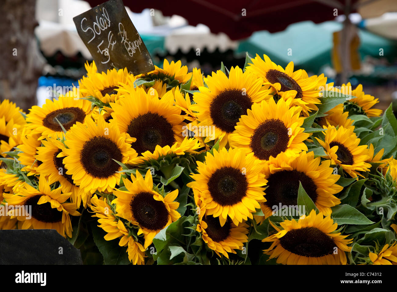 Sunflowers for sale on French market stall Stock Photo - Alamy
