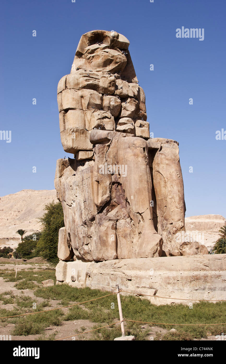 Amenhotep III statue, Colossi of Memnon, Luxor, Egypt Stock Photo - Alamy