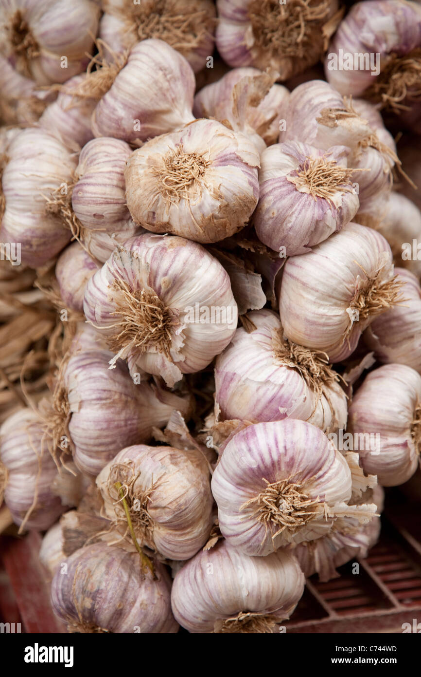 Fresh Garlics for Sale on Market Stall Stock Photo - Alamy
