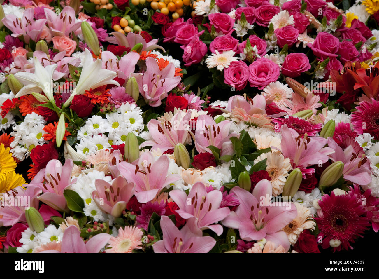 Flower for sale on market stall Stock Photo - Alamy