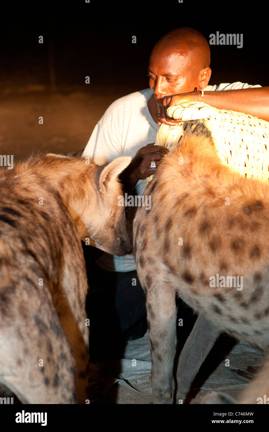 The Hyena-Man feeding hyenas near Sanga Gate just outside the city ...