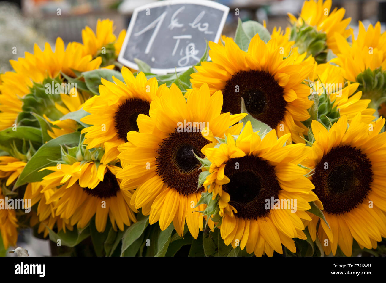Bunch of sunflowers for sale on French market stall Stock Photo - Alamy