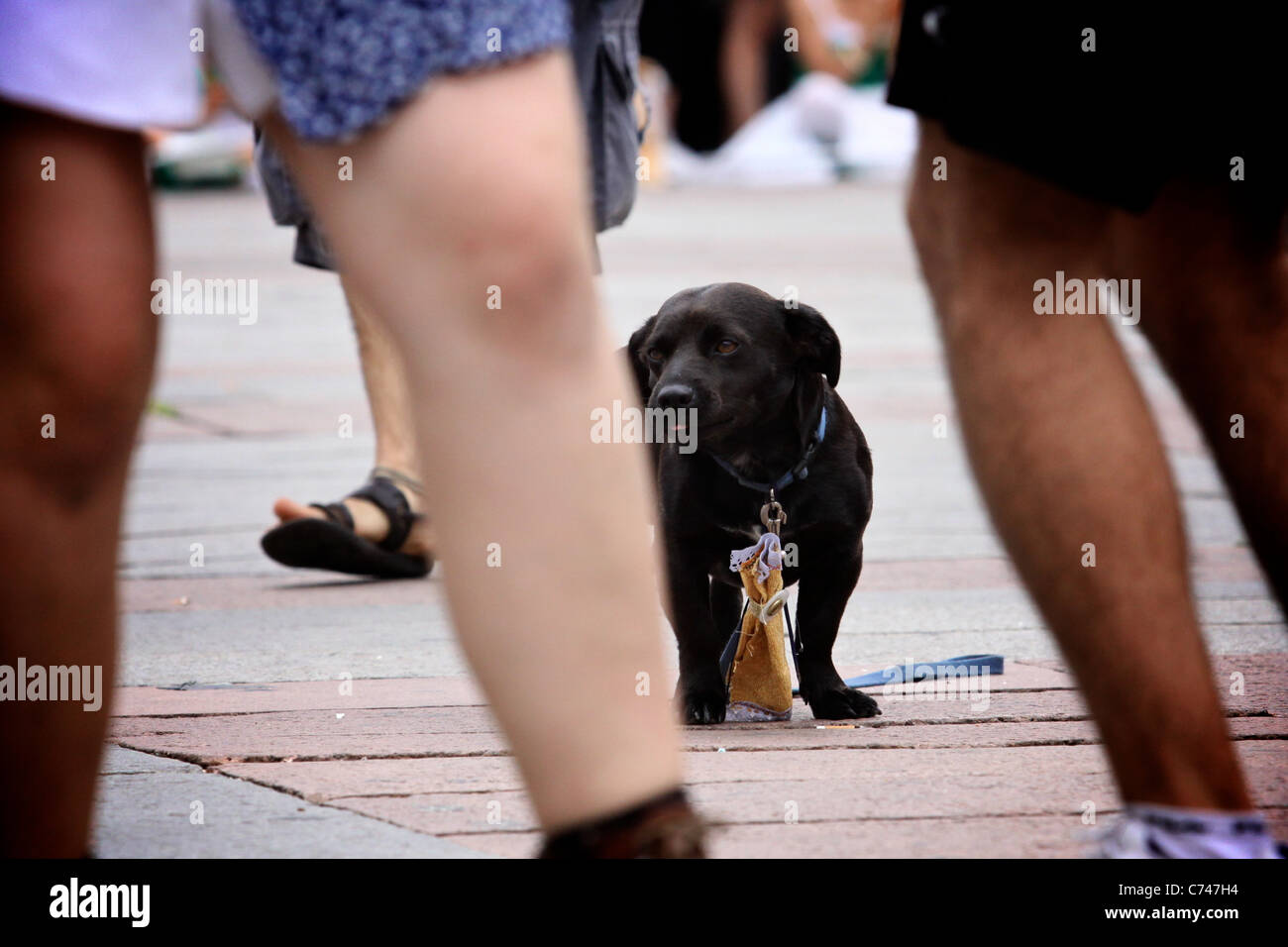 Looking at someone hi-res stock photography and images - Alamy