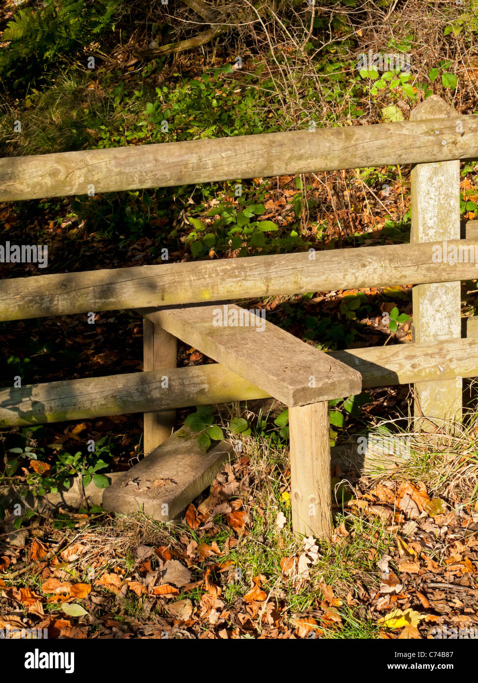 Wooden stile on a public footpath in the Peak District Derbyshire ...