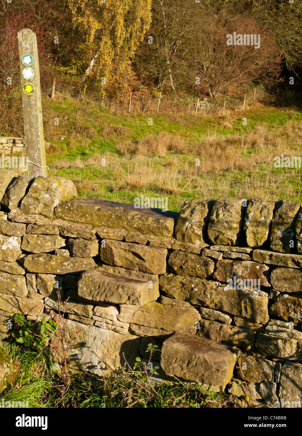 Stone wall uk peak district hi-res stock photography and images - Alamy