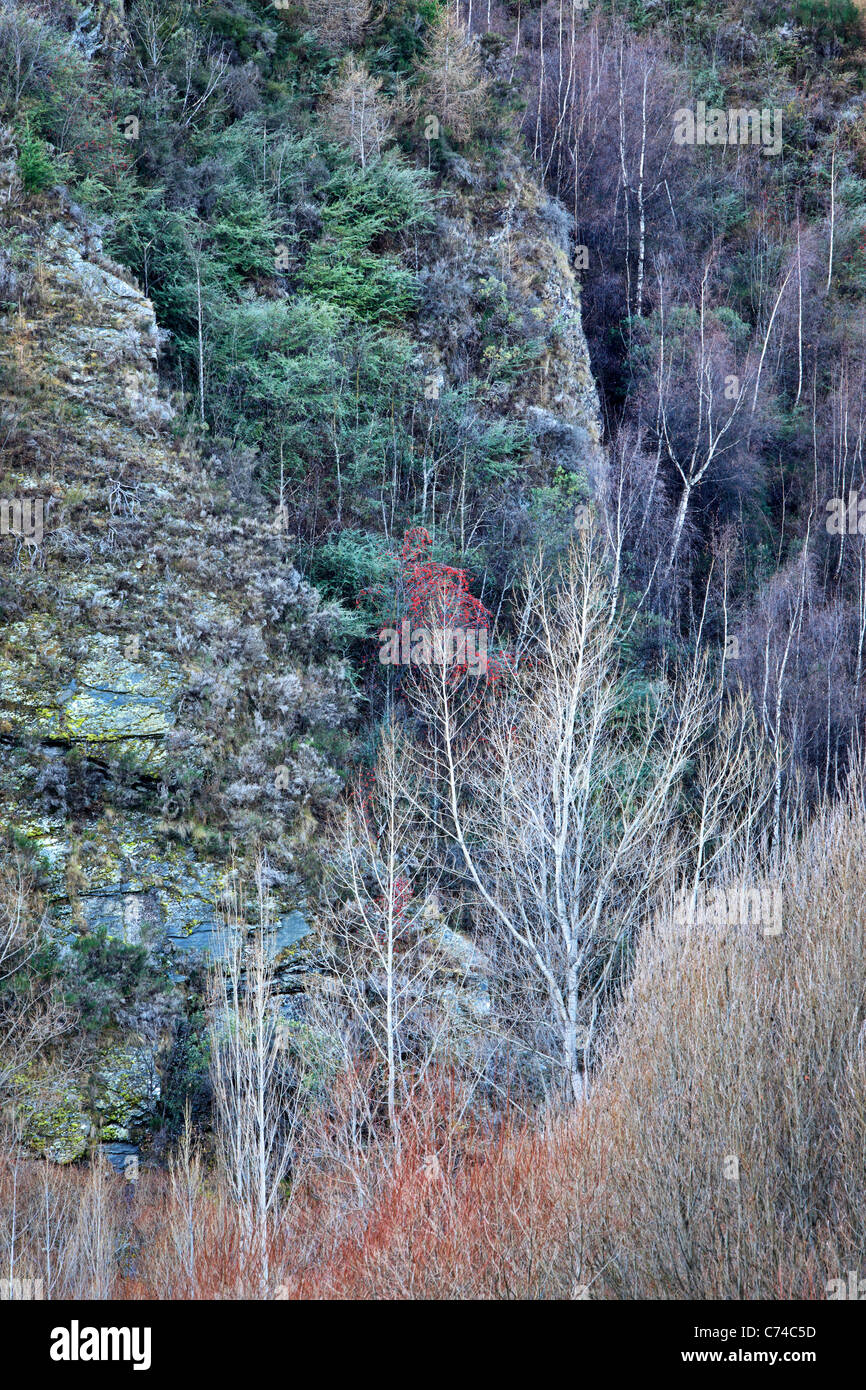 Winter color along the shores of the Arrow River in Arrowtown, New ...