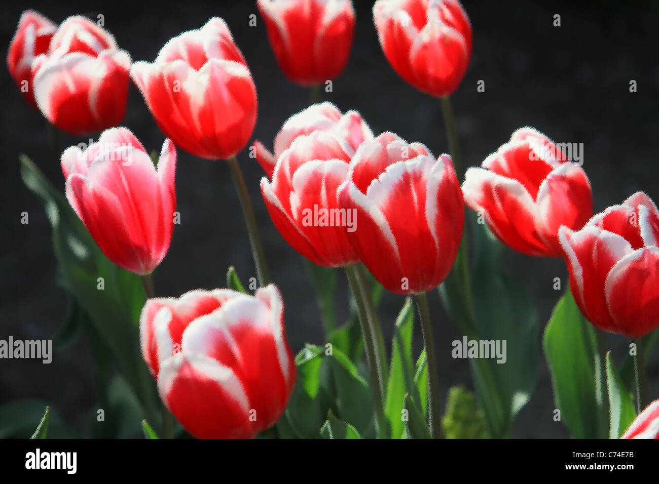 Digitally altered image hi-res stock photography and images - Alamy