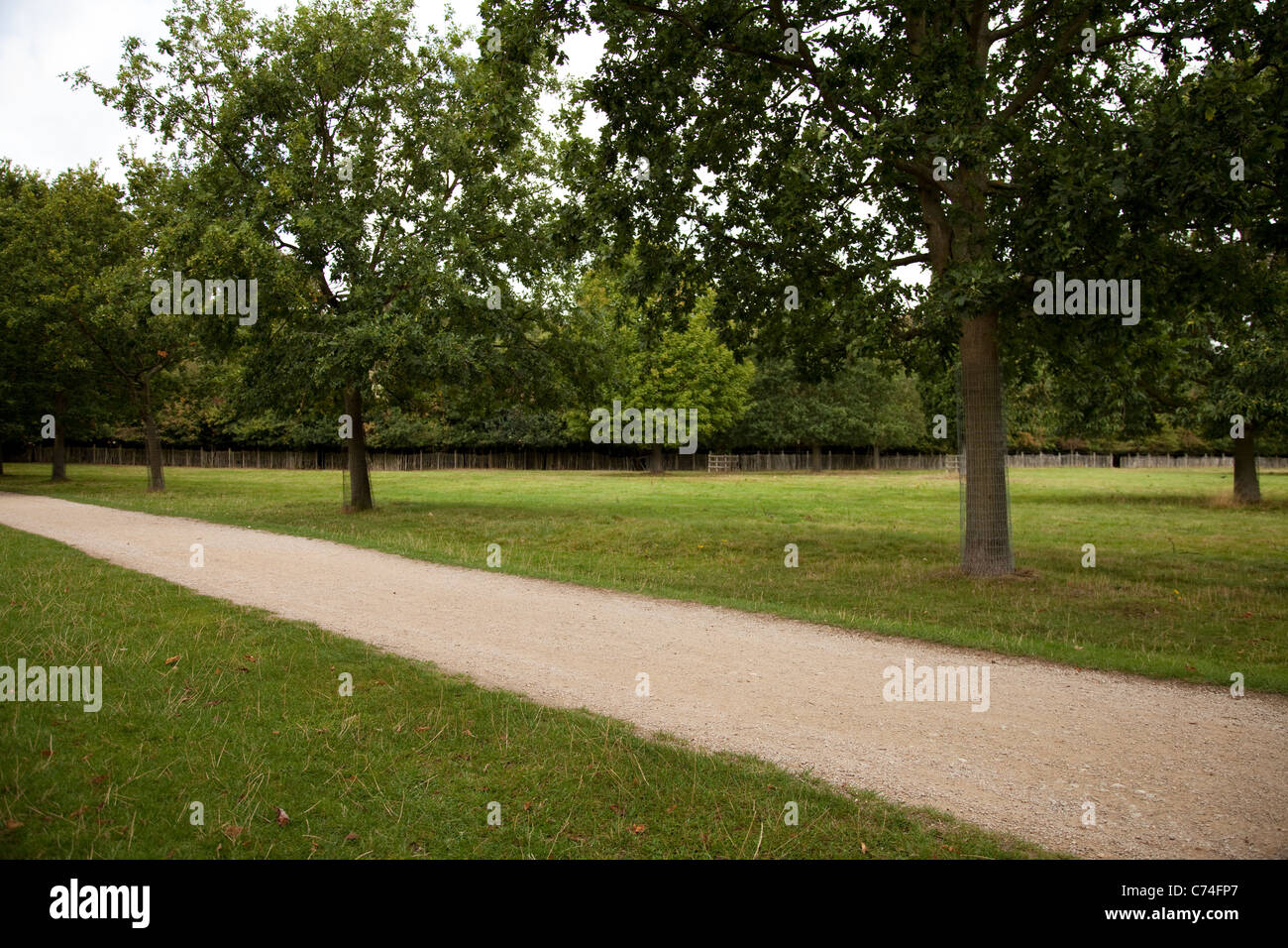 Empty boardwalk autumn forest hi-res stock photography and images - Alamy