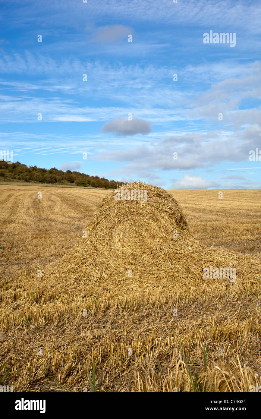 Harvested Wheat Field with Round Bales or Wheels of Hay Stock Photo - Alamy