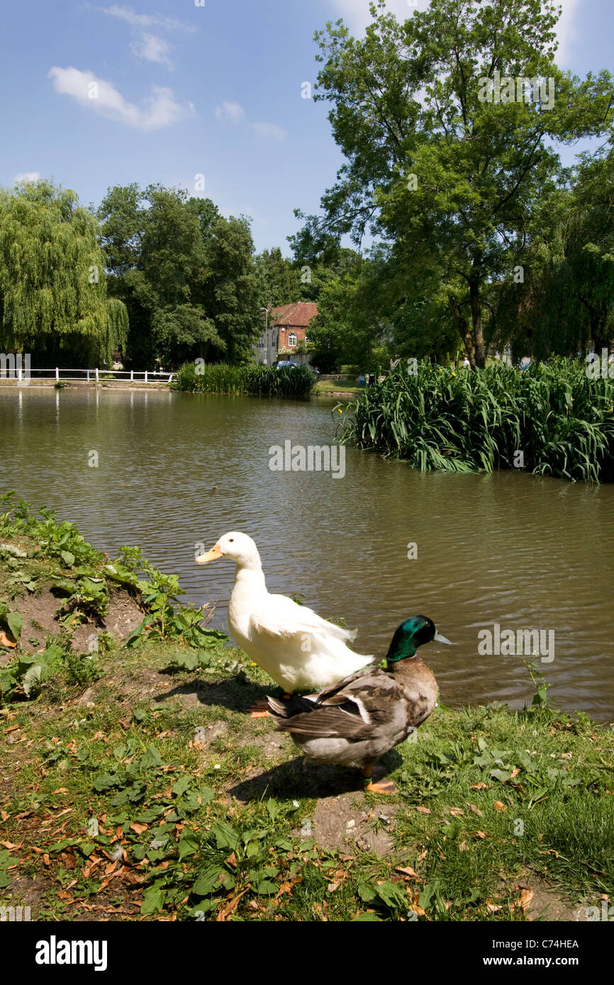 Buriton hampshire hi-res stock photography and images - Alamy