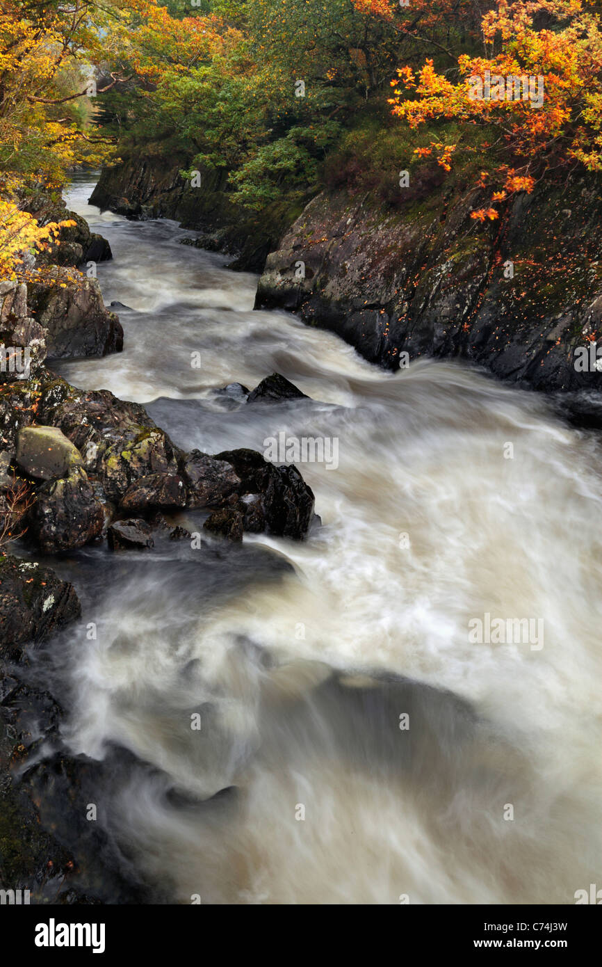 The Falls of Leny flow amidst the Autumn color near Callander in the ...
