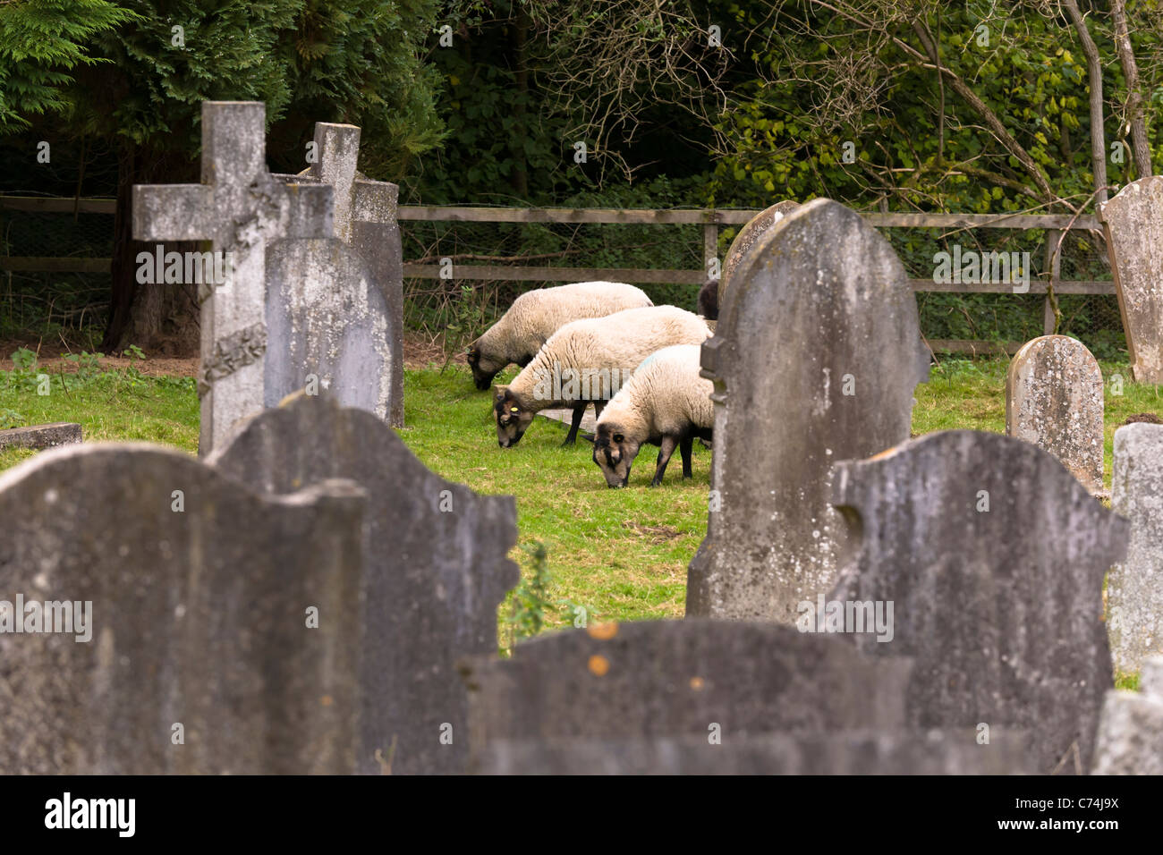 Uk grave yard hi-res stock photography and images - Alamy