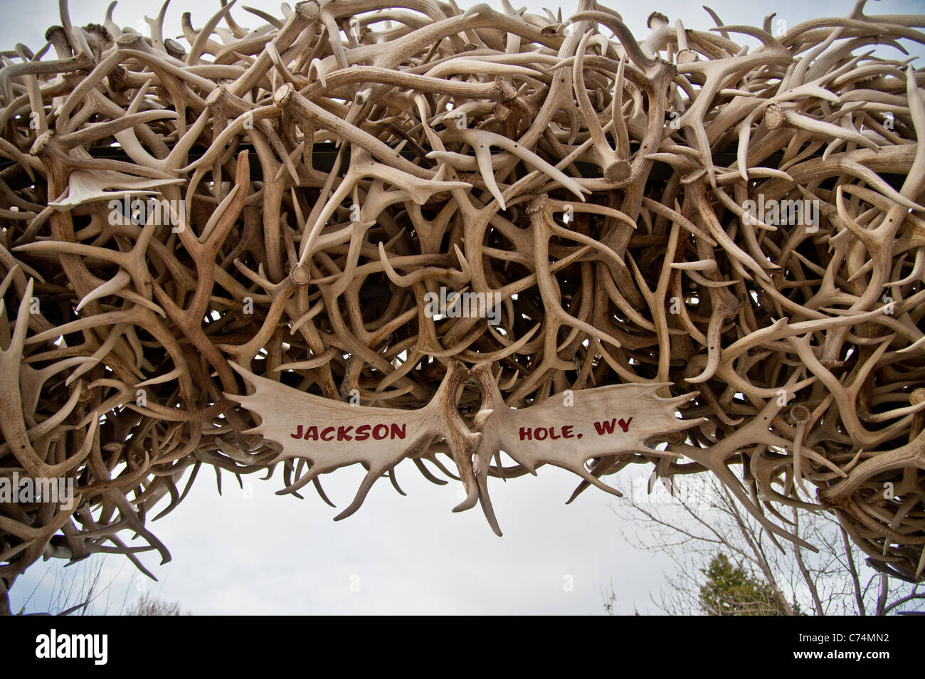 The arch of horns at Jackson Hole Stock Photo - Alamy
