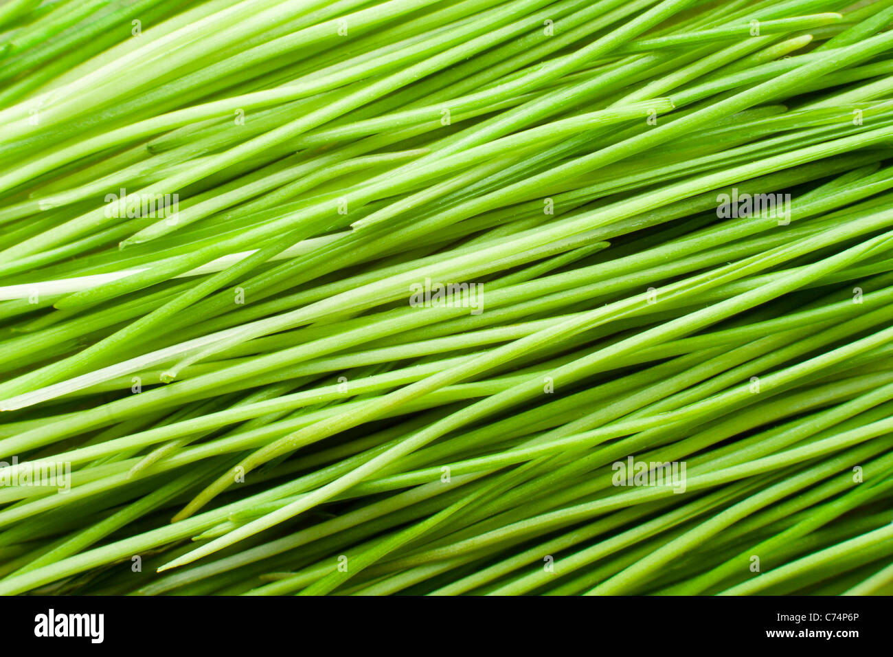 Green Blades of Grass Texture Background, Close Up Stock Photo - Alamy