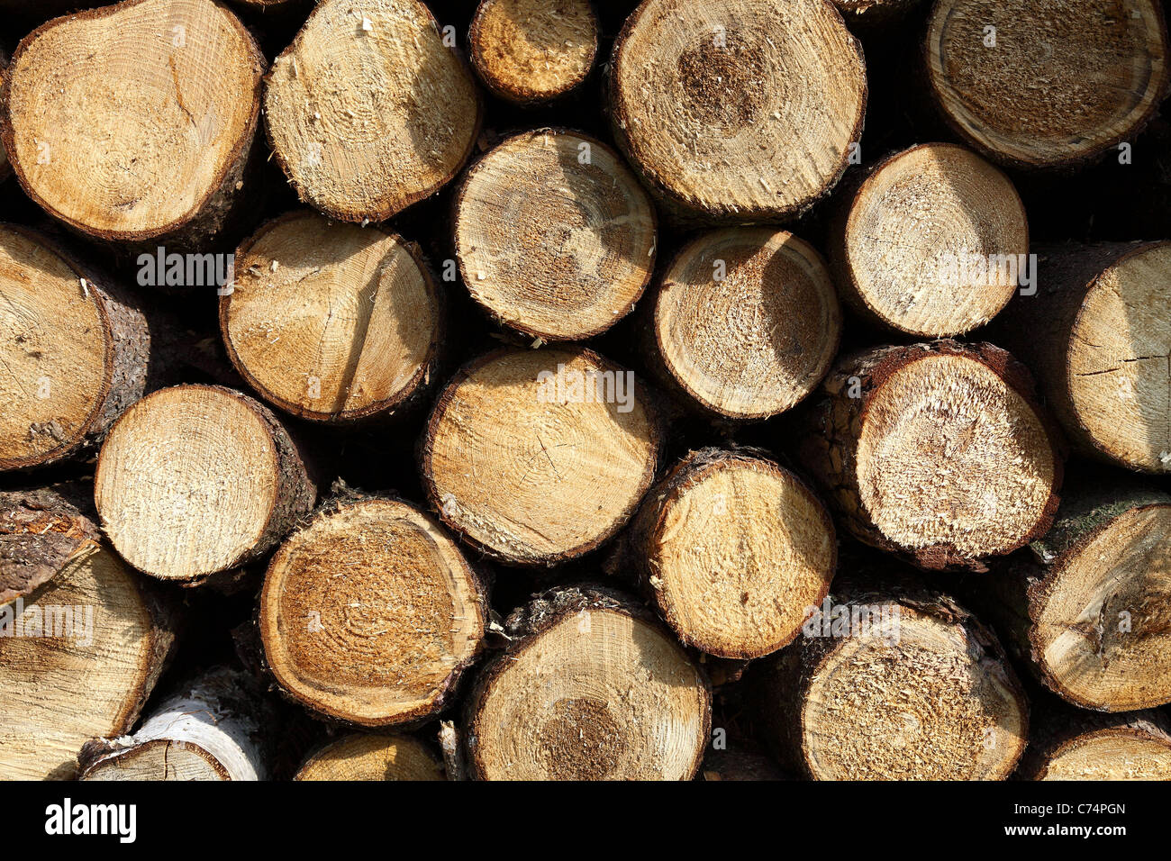 Firewood energy hi-res stock photography and images - Alamy