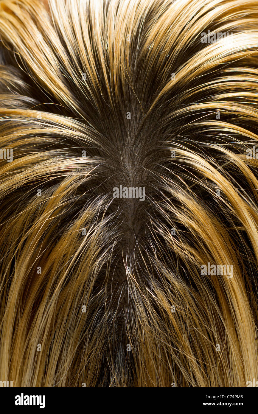 Blonde Hair with Visible Dark Roots Stock Photo - Alamy