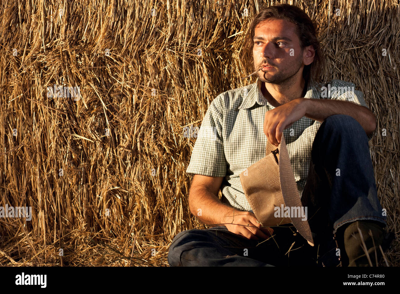 Hay cowboy hi-res stock photography and images - Alamy