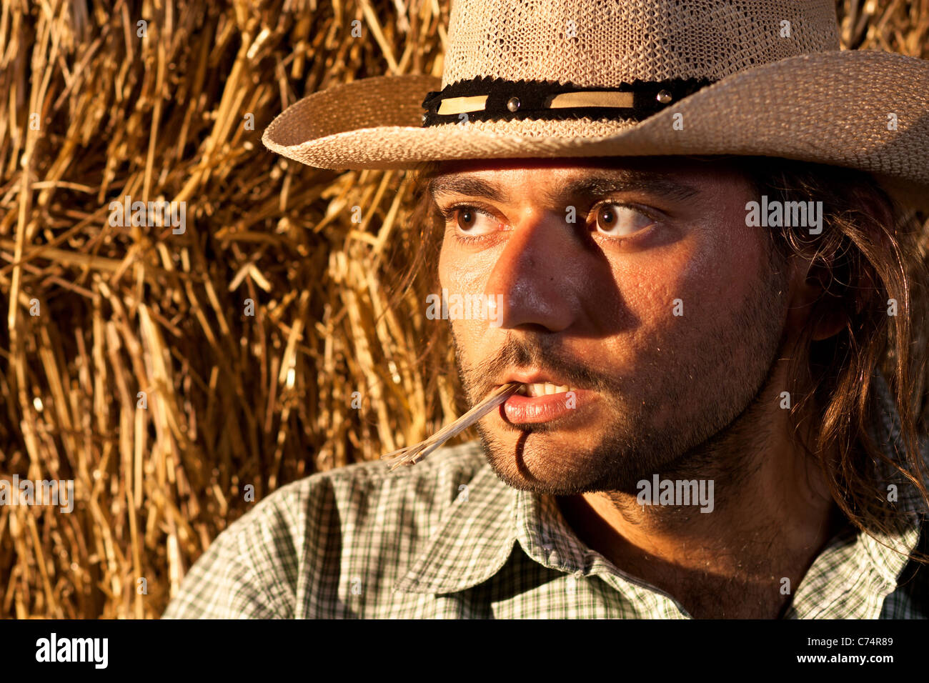 Man long beard cowboy hat hi-res stock photography and images - Alamy