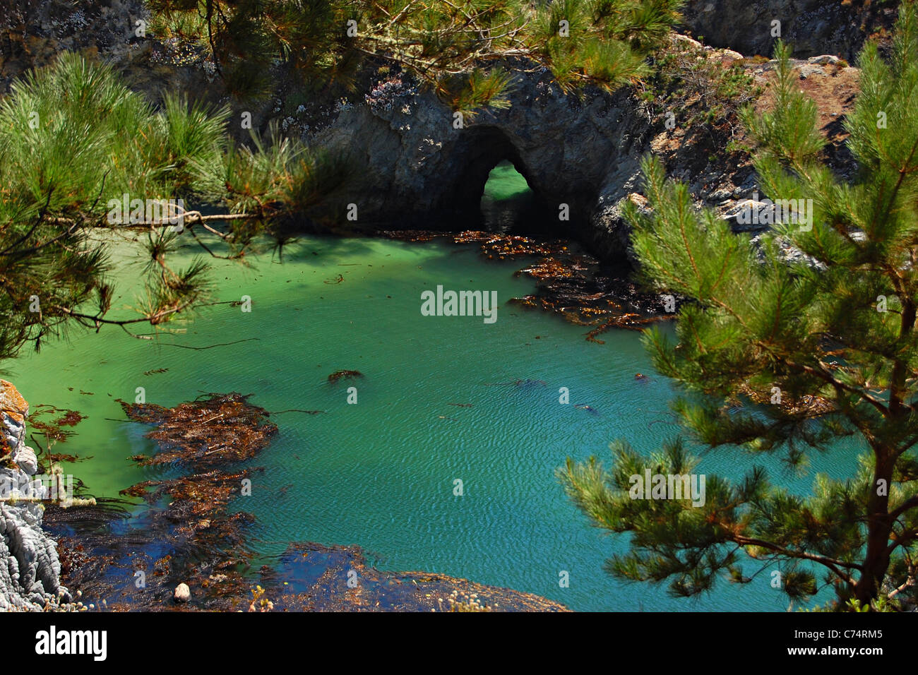 Arch and Lagoon, Point Lobos State Preserve, California, USA Stock ...