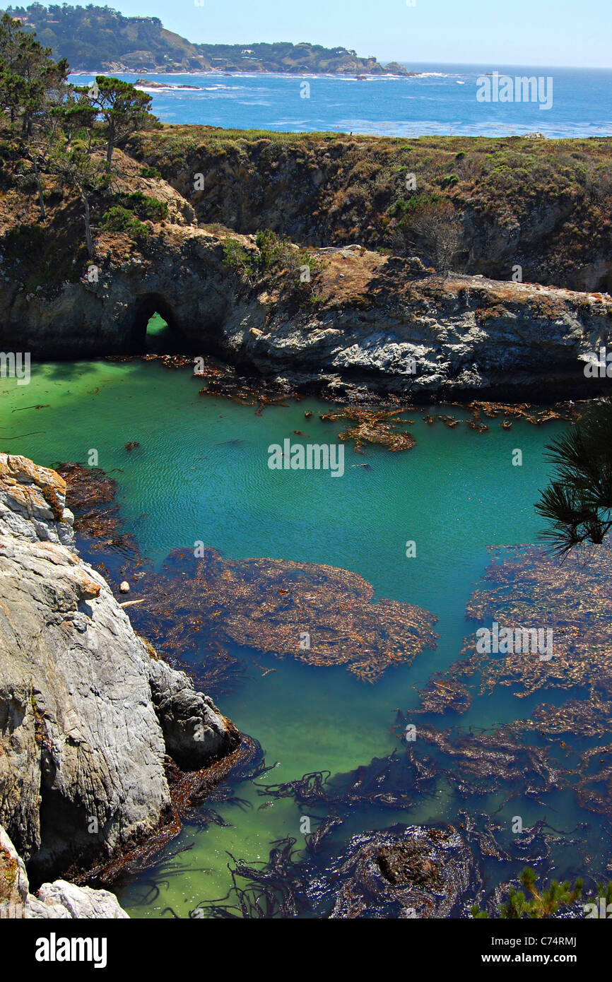 Arch and Lagoon, Point Lobos State Preserve, California, USA Stock ...