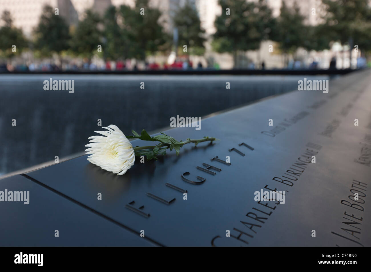 A flower rests by the names of those on Flight 77, on the South Pool at ...