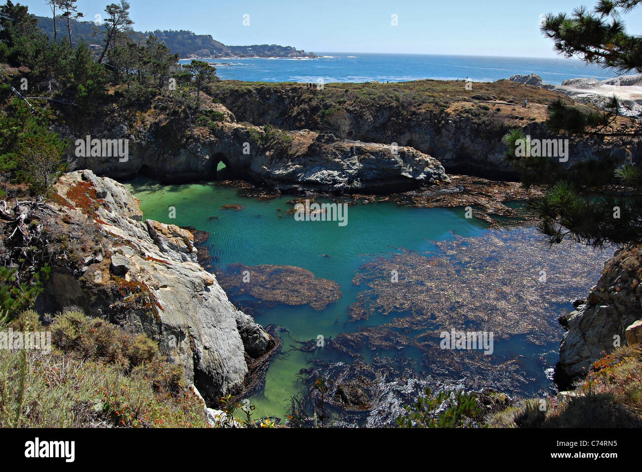 Arch and Lagoon, Point Lobos State Preserve, California, USA Stock ...