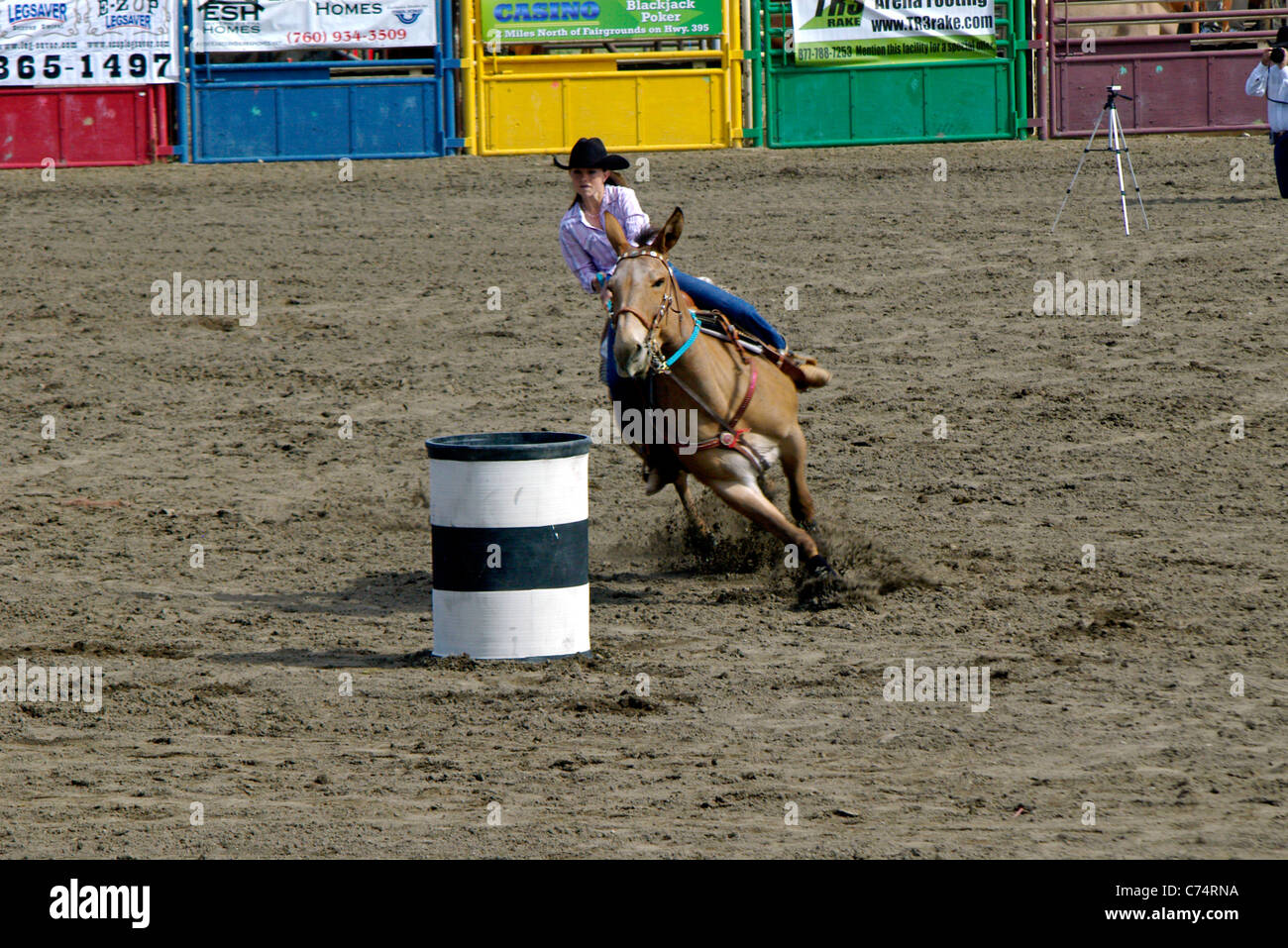 USA, California, Bishop 37th Mule Days, Barrel race, Katie King, riding ...