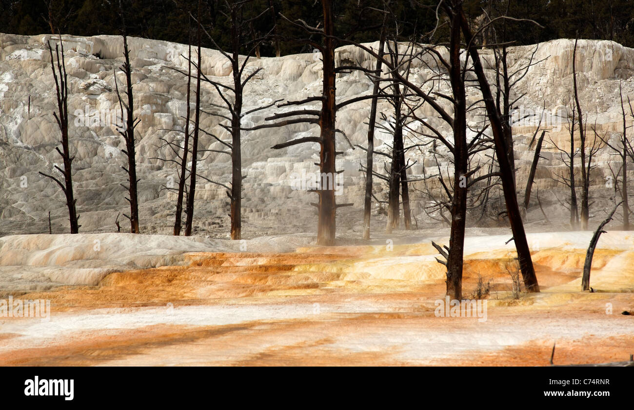 Travertine terrace hi-res stock photography and images - Alamy