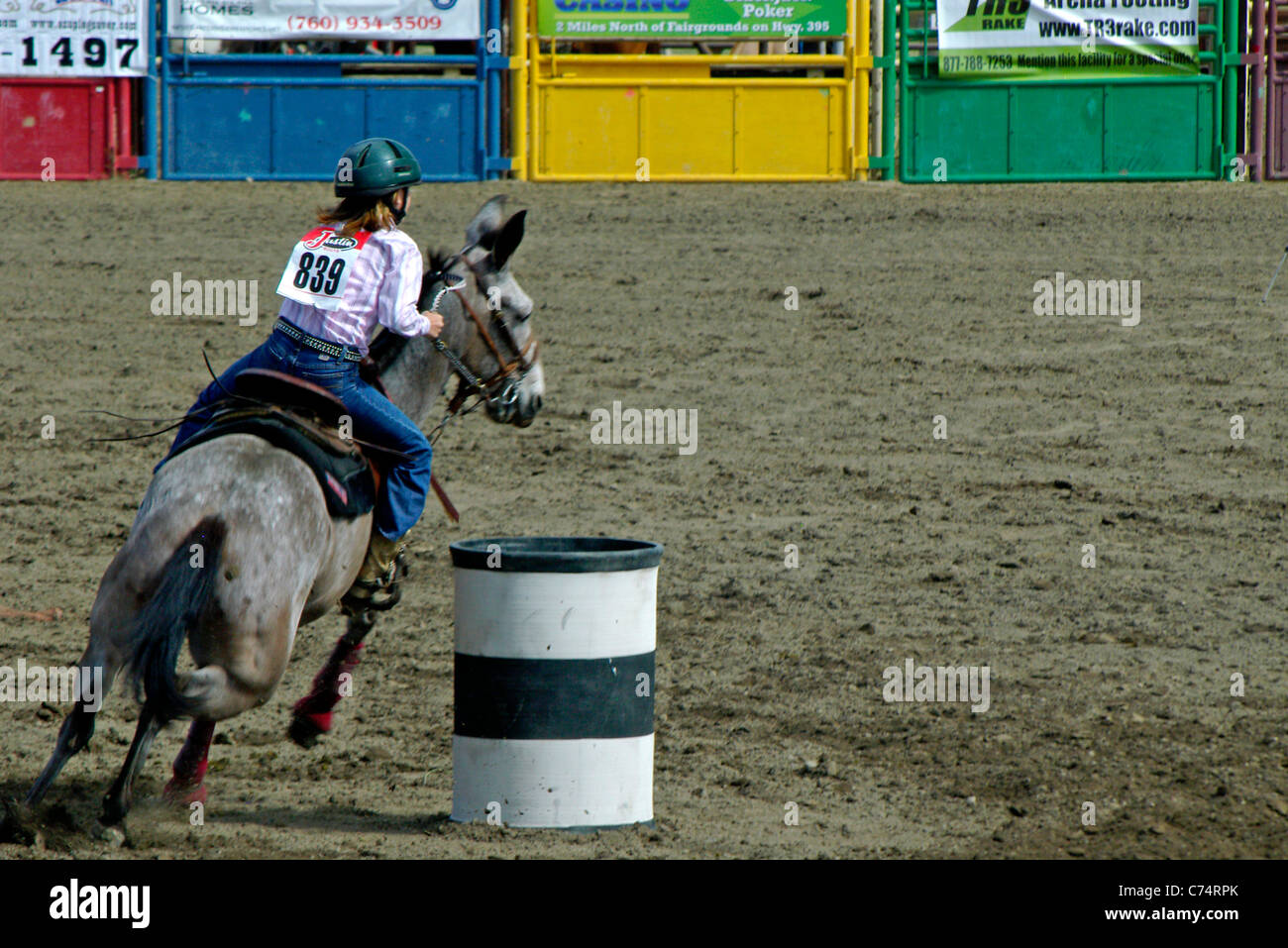 USA, California, Bishop 37th Mule Days, Barrel race, Katie King, riding ...