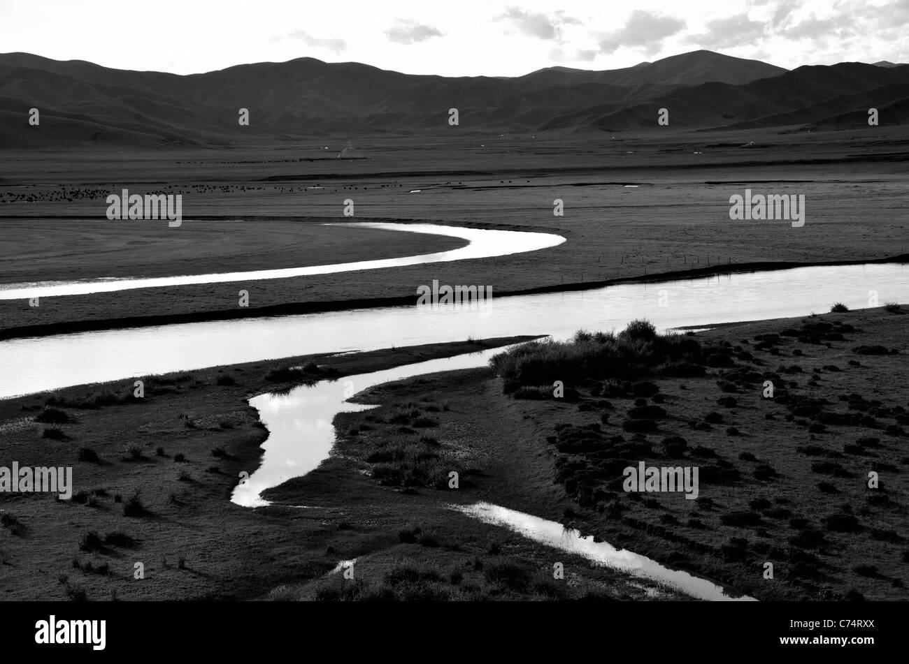 Meandering River Black And White
