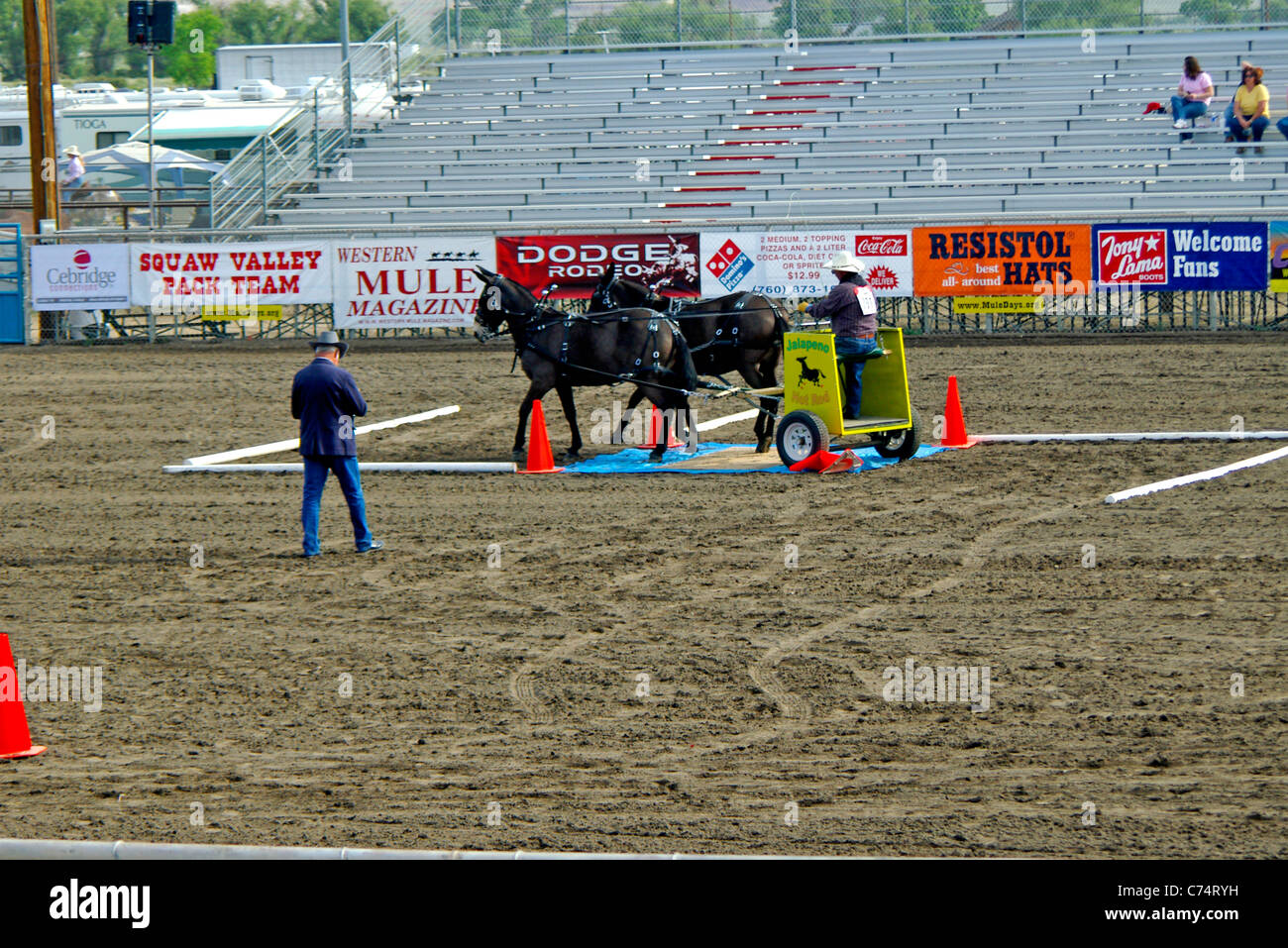 USA, California, Bishop 37th Mule Days, Obstacle course, mule team, Jim ...