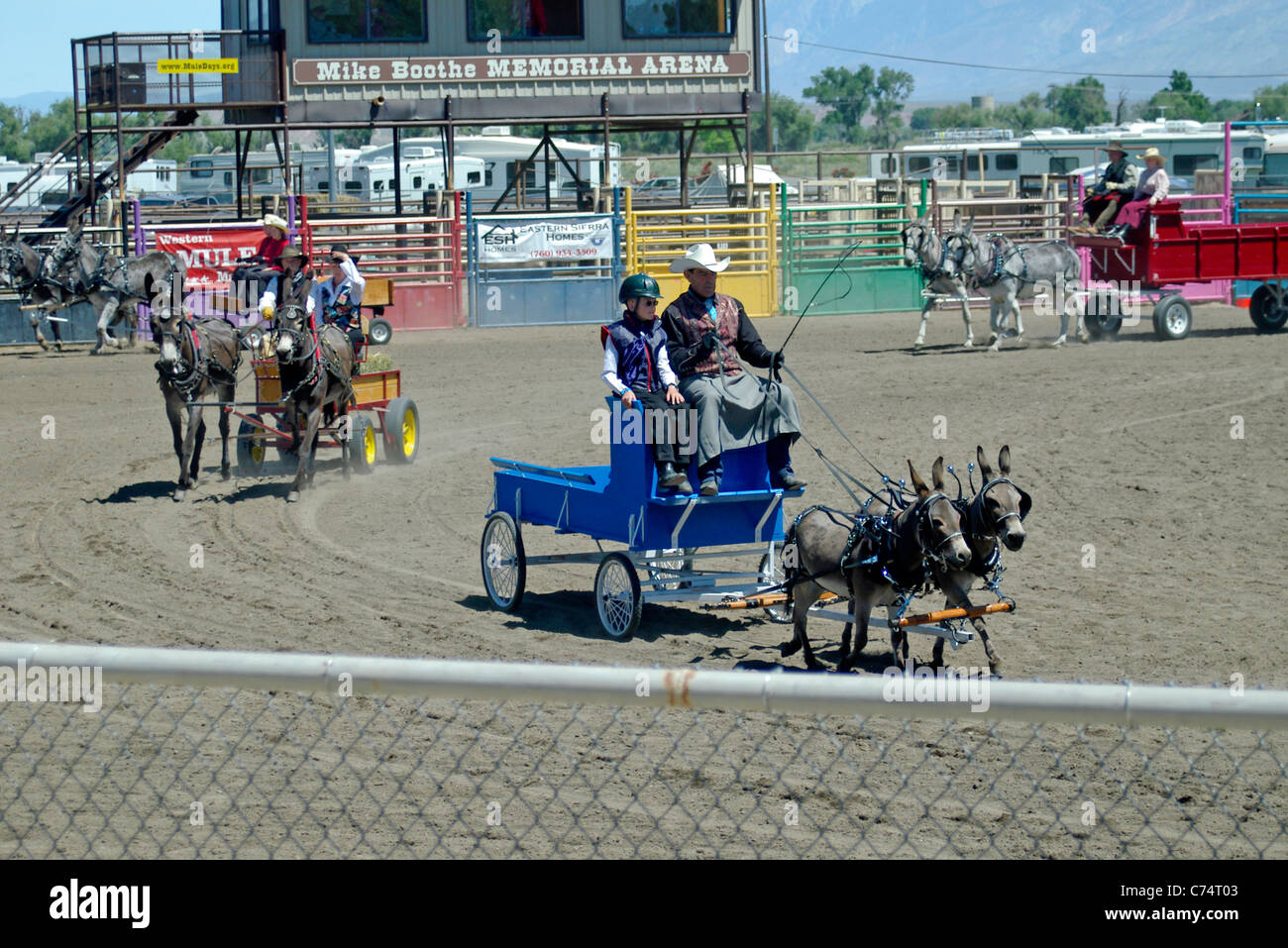 USA, California, Bishop 37th Mule Days, Donkey Hitch Class, drill 2006 ...