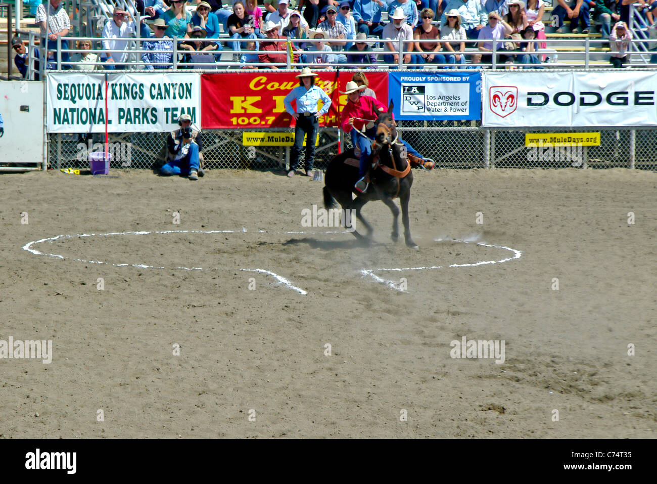 Sophia bishop hi-res stock photography and images - Alamy