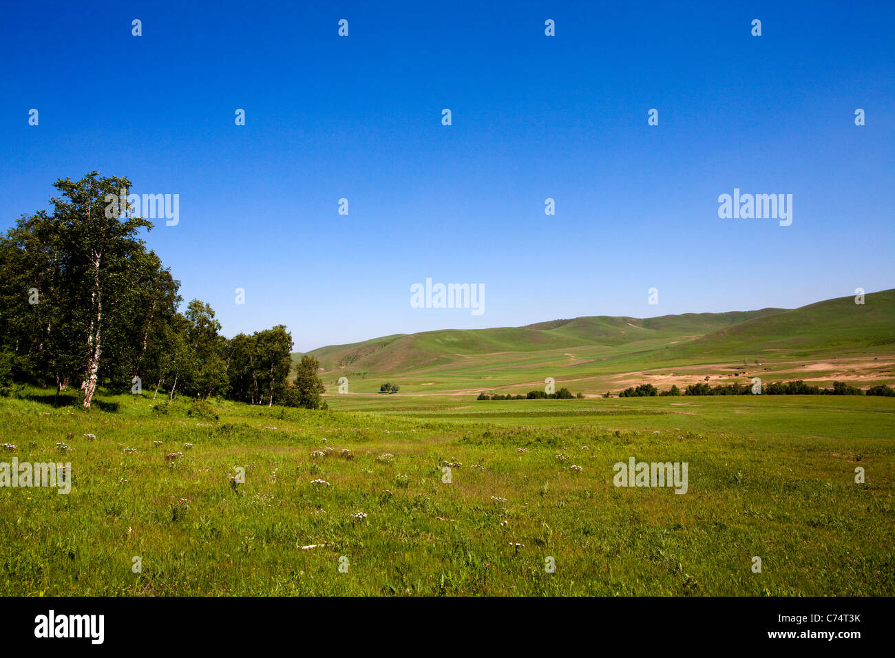 Open fields extending into horizon Stock Photo - Alamy
