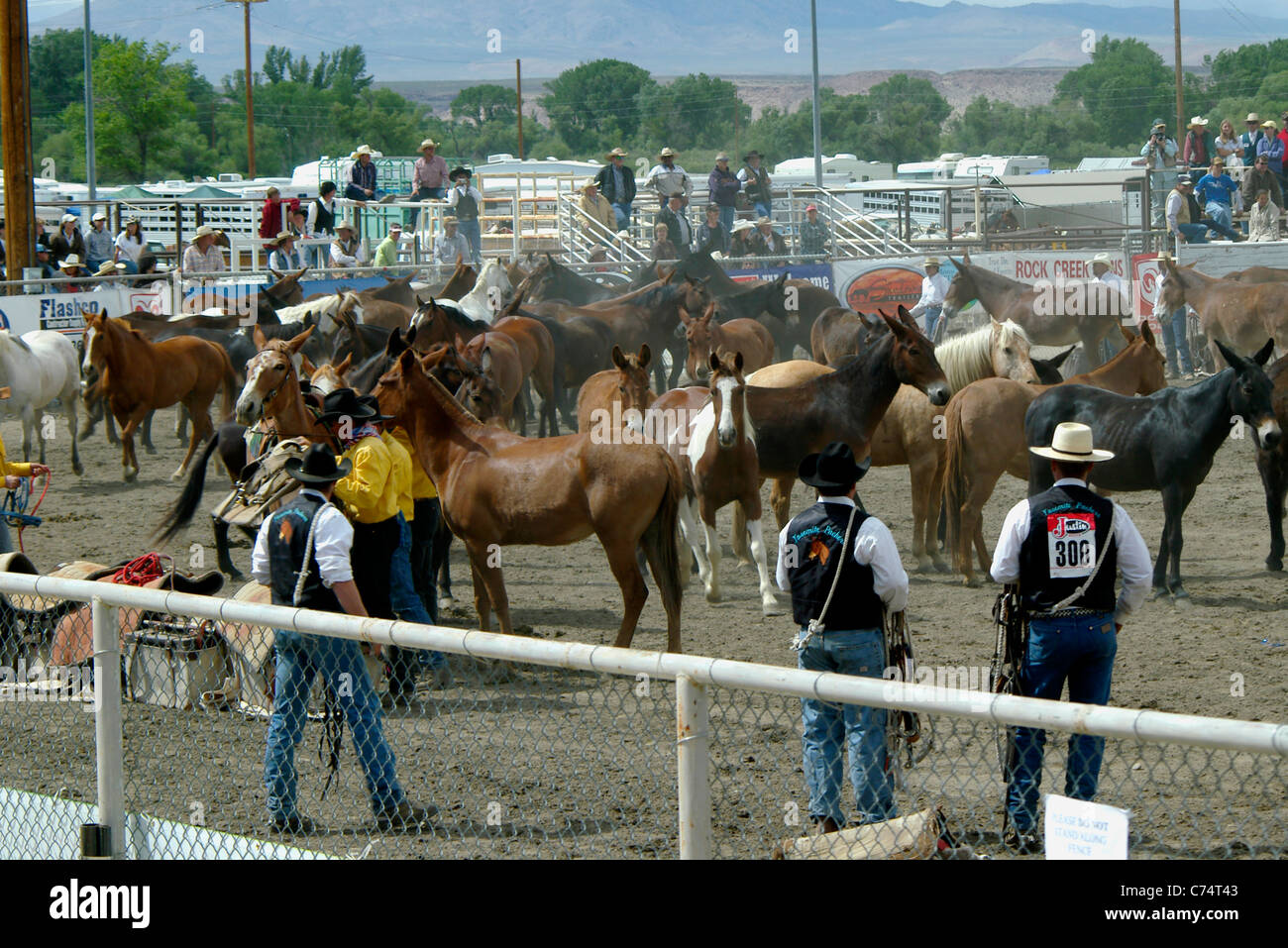 Pack team scramble hi-res stock photography and images - Alamy