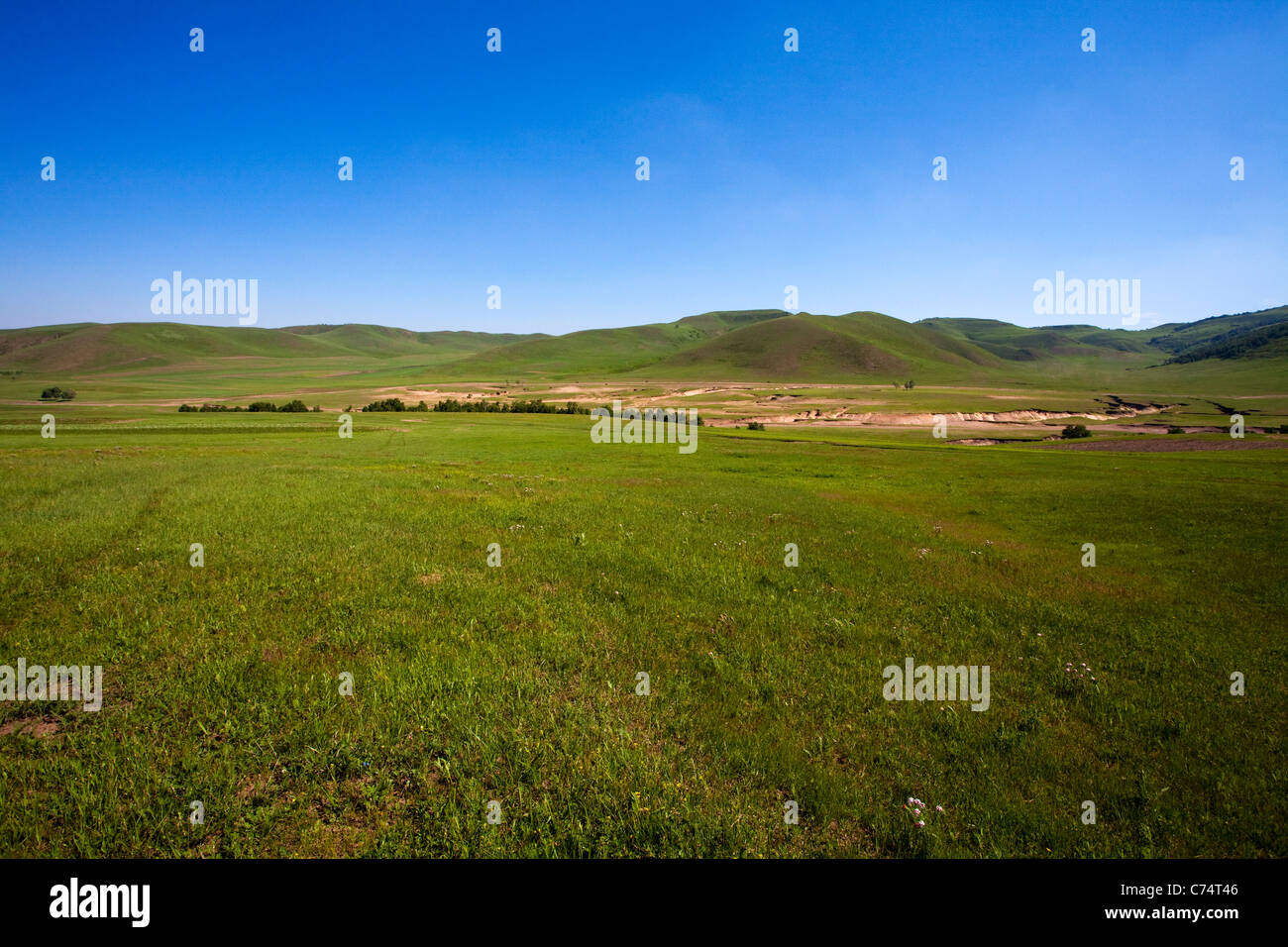 Open fields extending into horizon Stock Photo - Alamy
