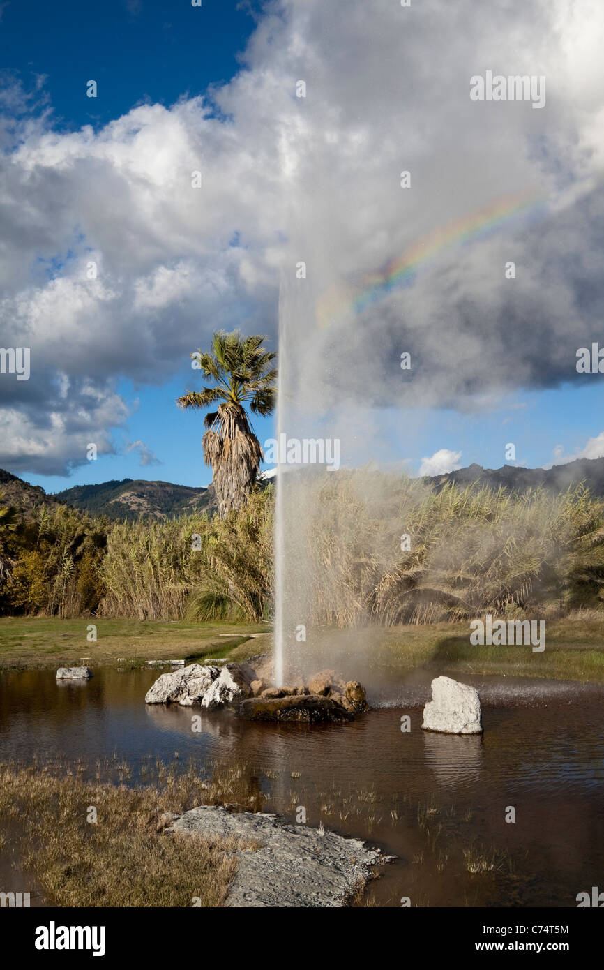 A natural geyser shooting water out of the ground and into the air ...