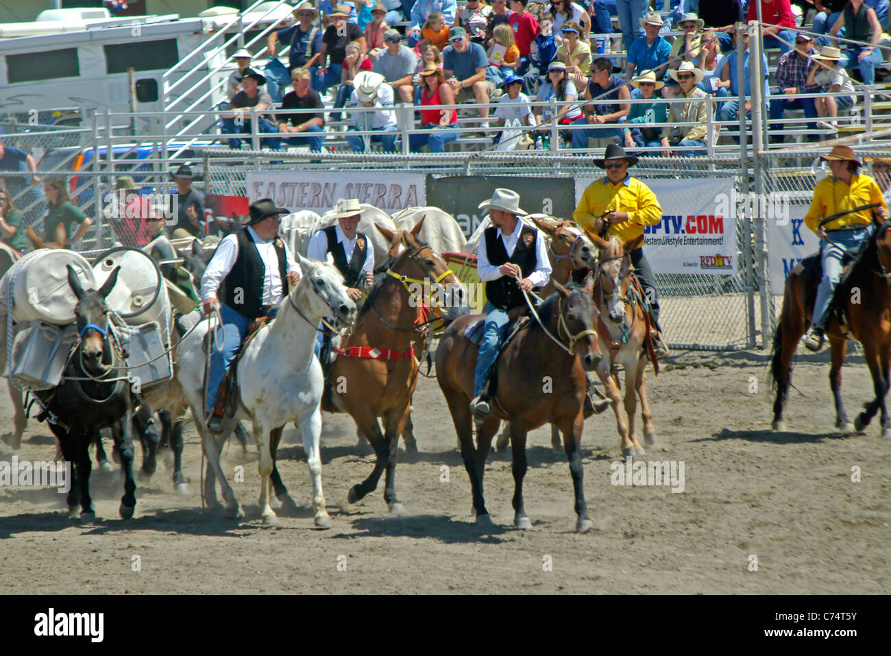 USA, California, Bishop 37th Mule Days, Pack Team Scramble, beginning ...