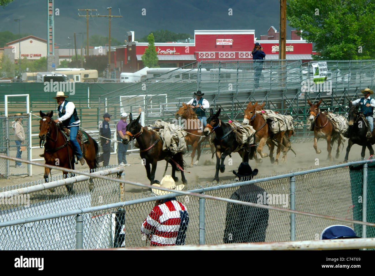 USA, California, Bishop 37th Mule Days, Pack Team Scramble, crossing ...