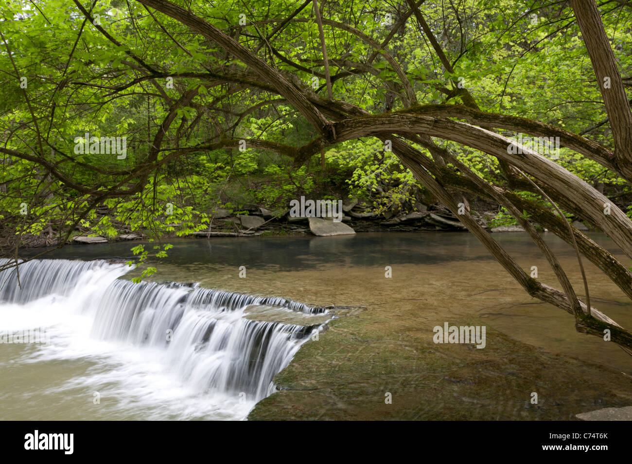 Stream with small waterfall Stock Photo - Alamy