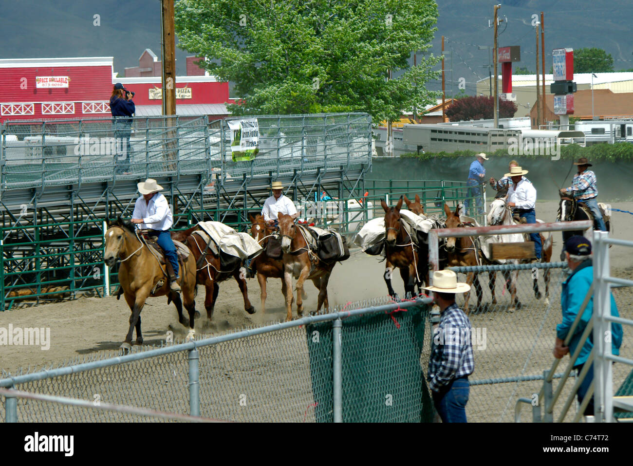 USA, California, Bishop 37th Mule Days, Pack Team Scramble, crossing ...