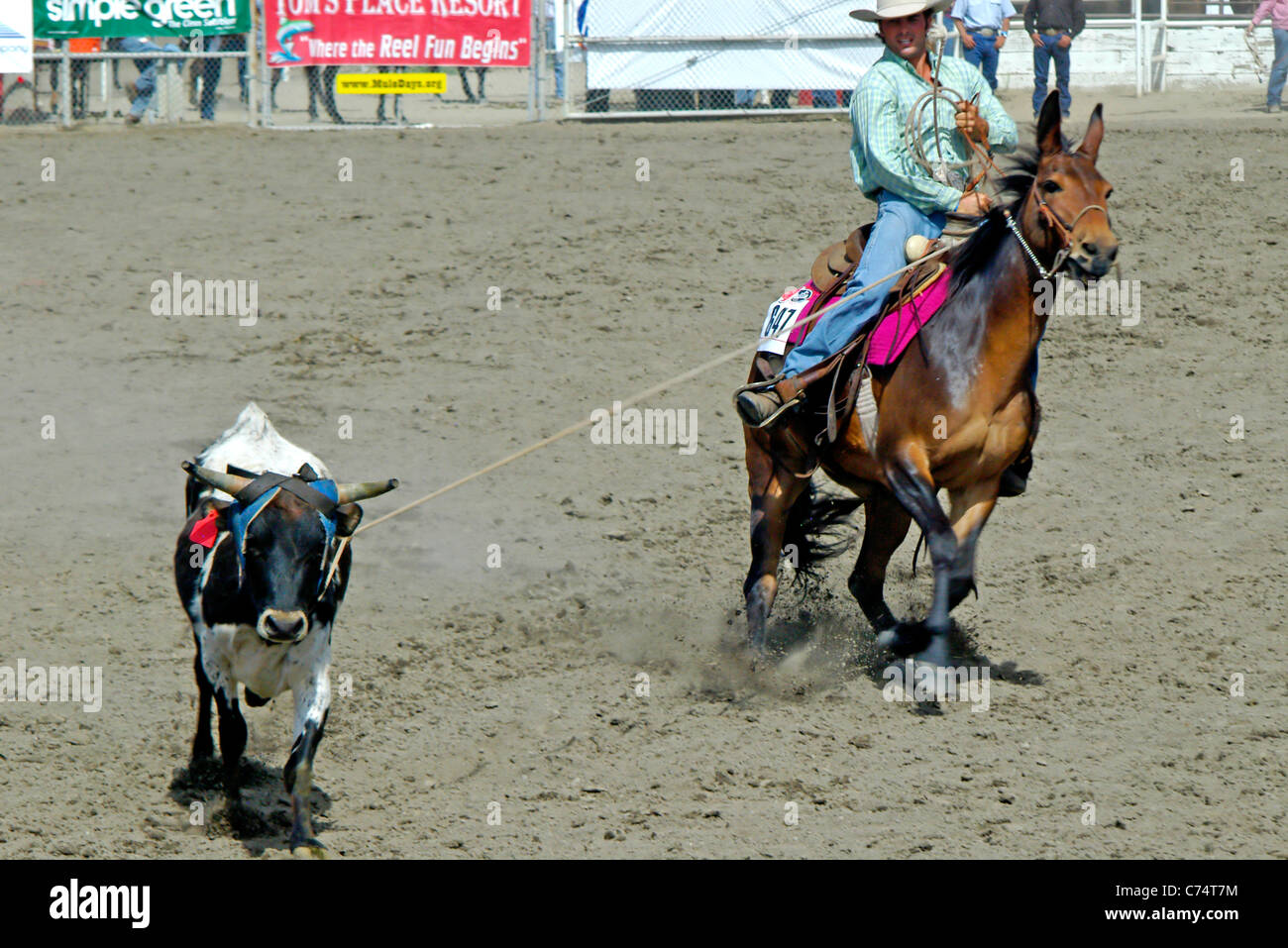 Tim lewis hi-res stock photography and images - Alamy